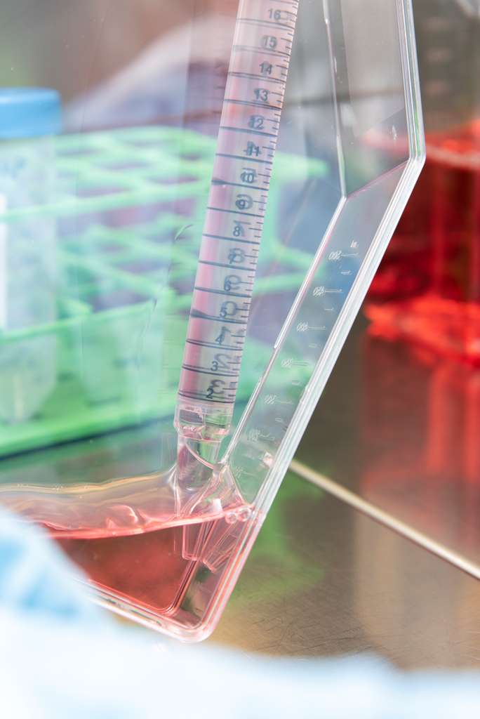 Characterization of lentiviral vectors and RCL “pool” assay